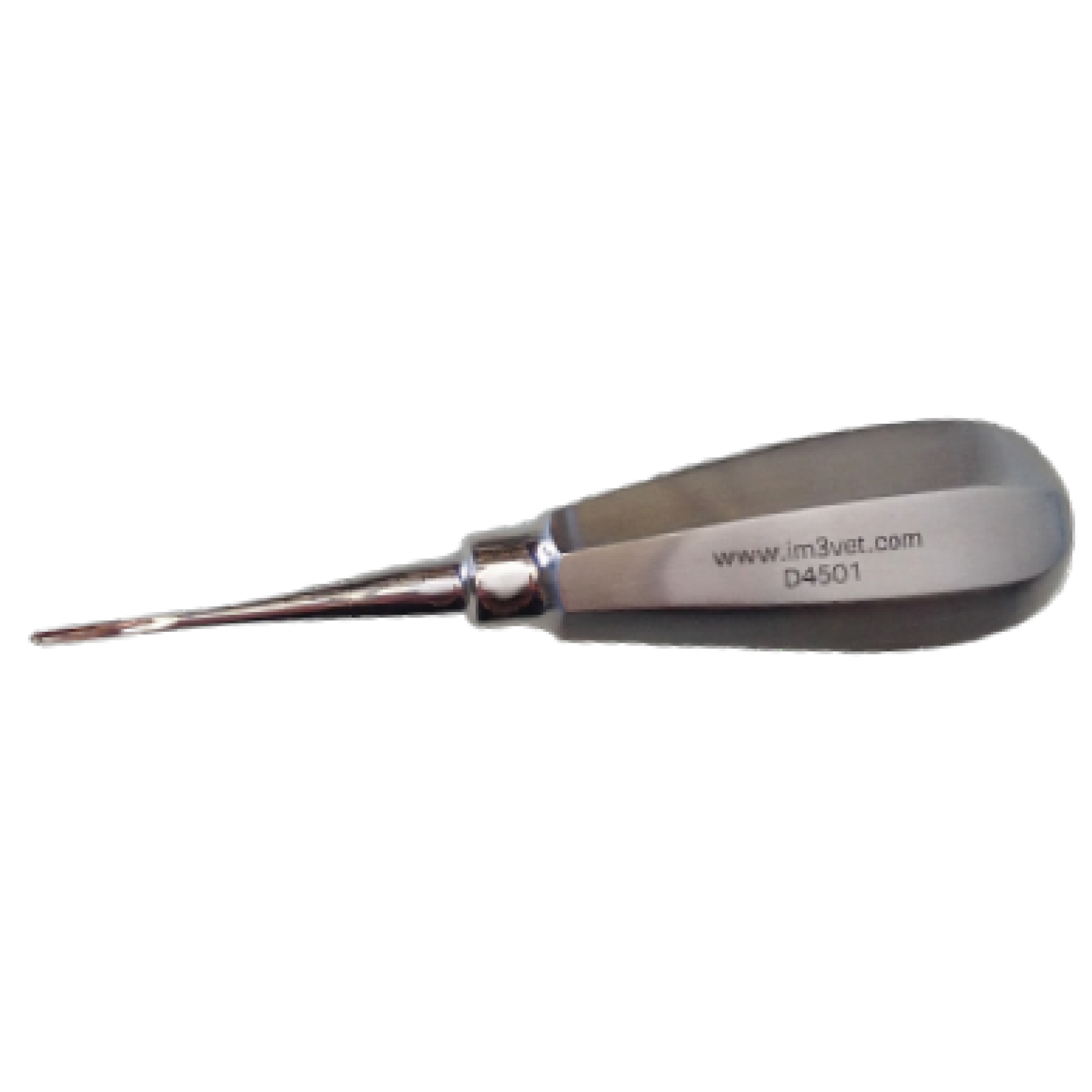 Veterinary Dental Instrument
