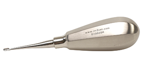 Veterinary Dental Instrument