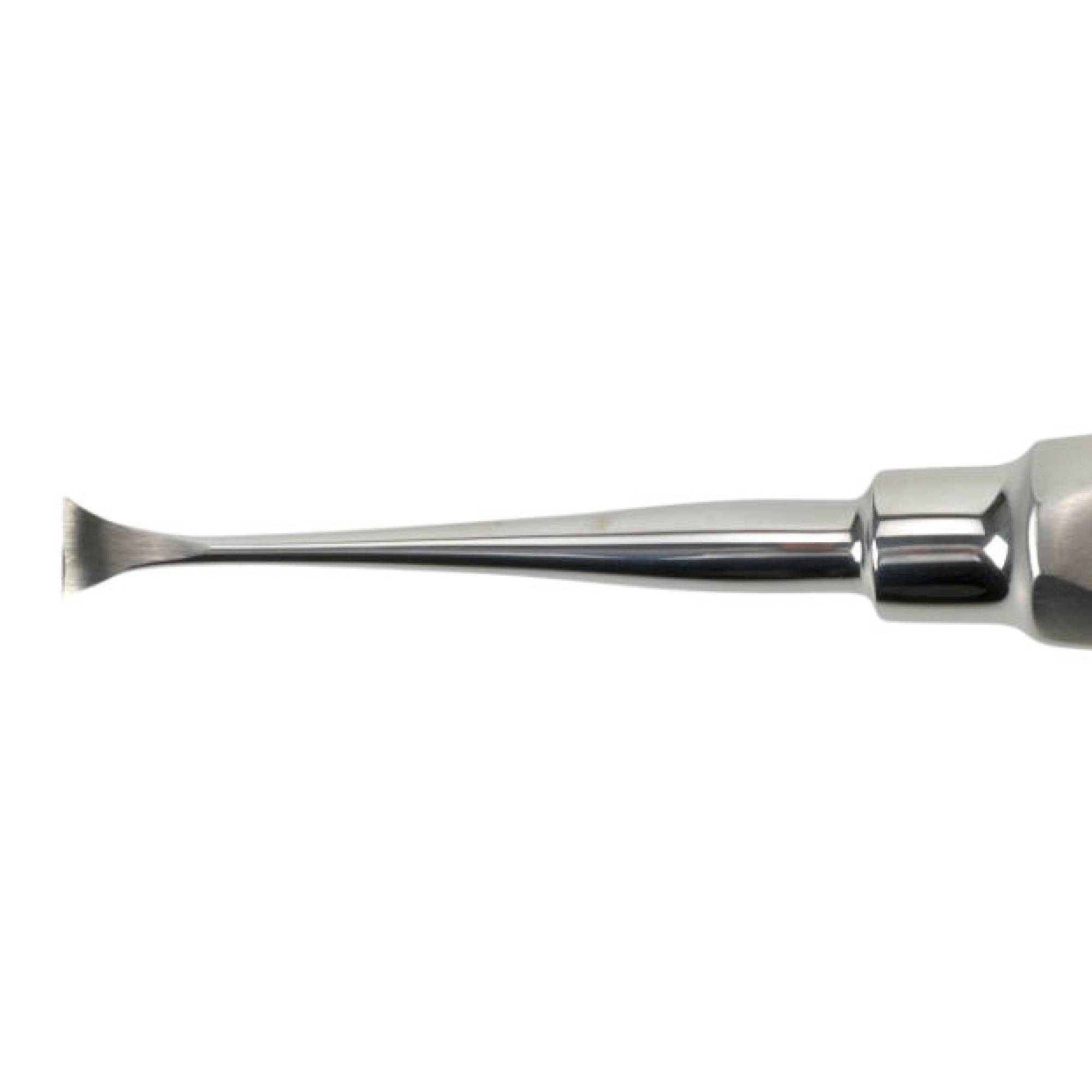 Veterinary Dental Instrument