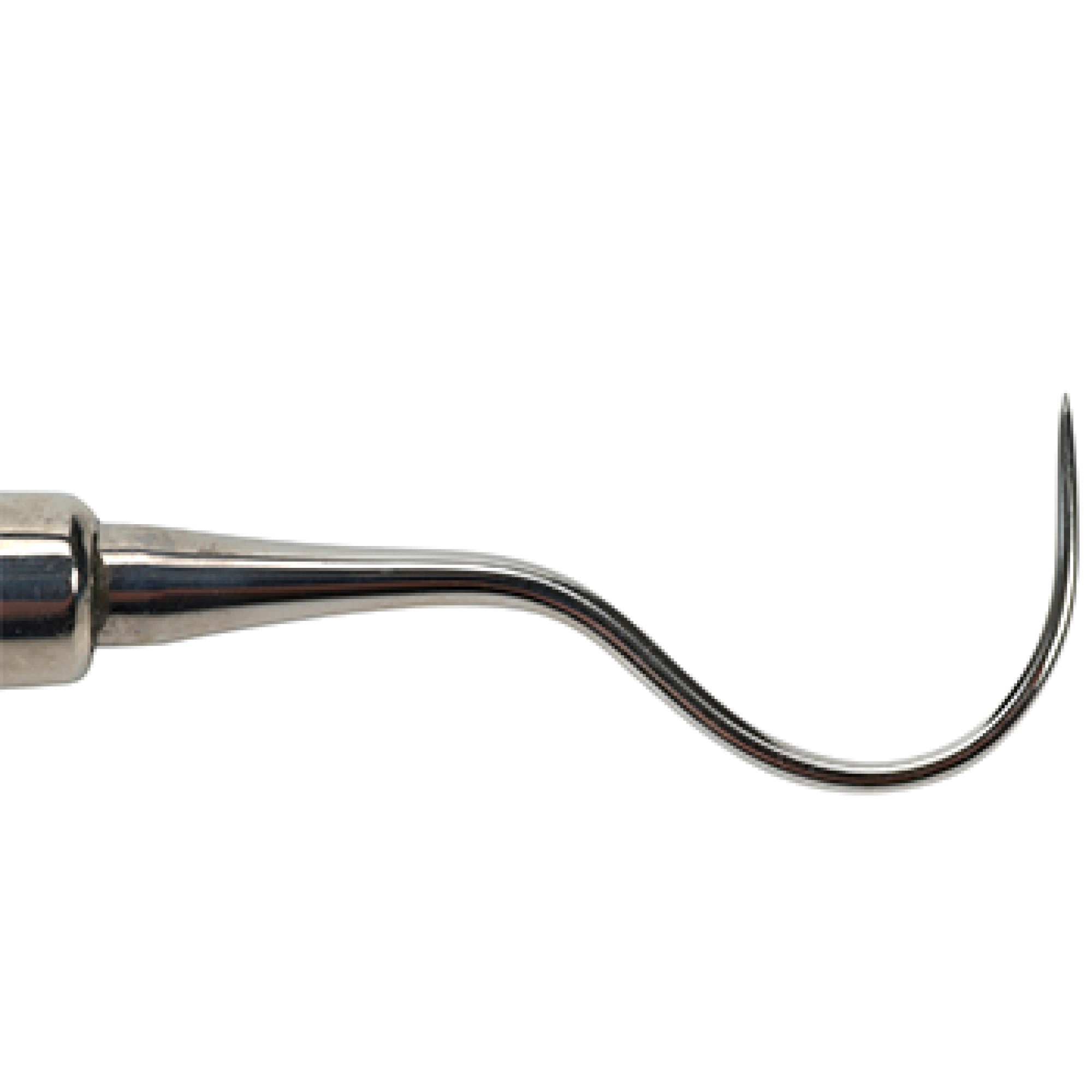 Veterinary Dental Instrument