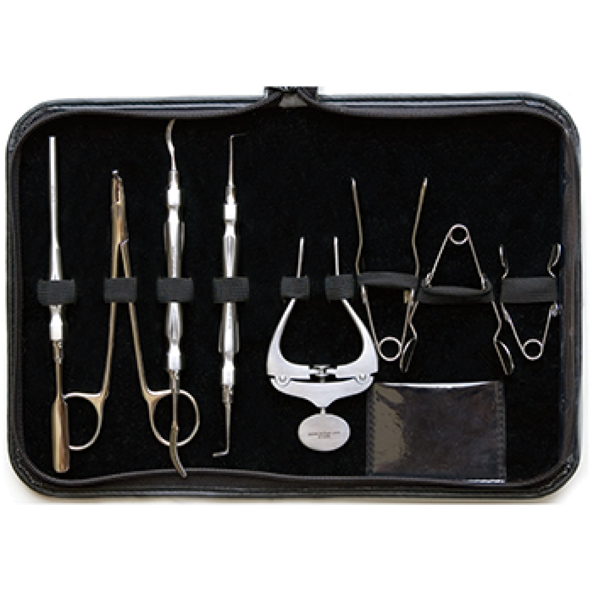 Rodent Dental Instruments