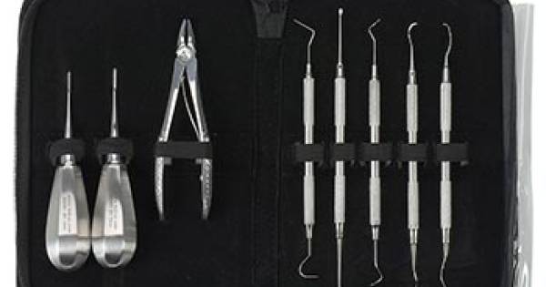 Veterinary Dental Instrument