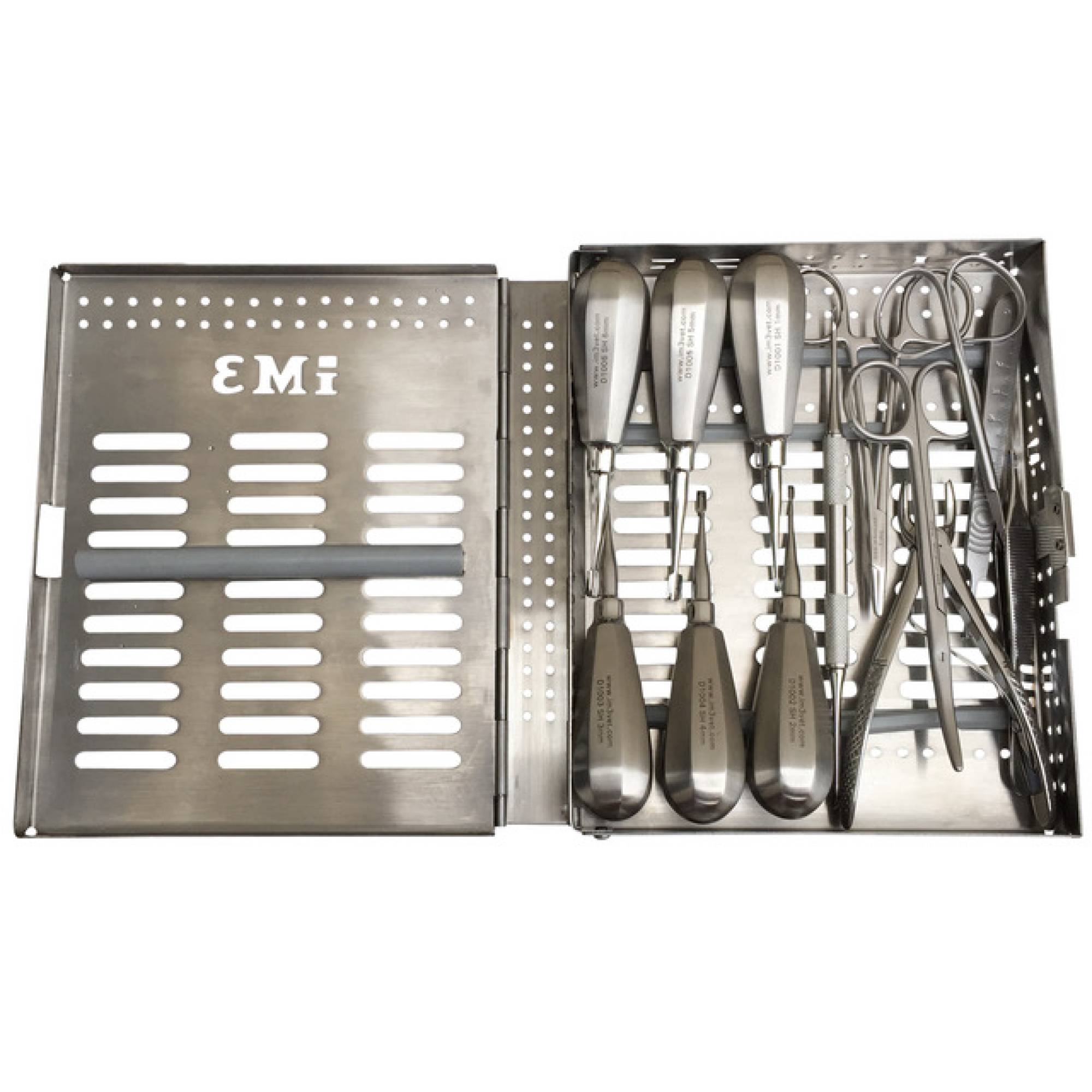 12 pcs Extraction Set- Stubby Handle S/S case